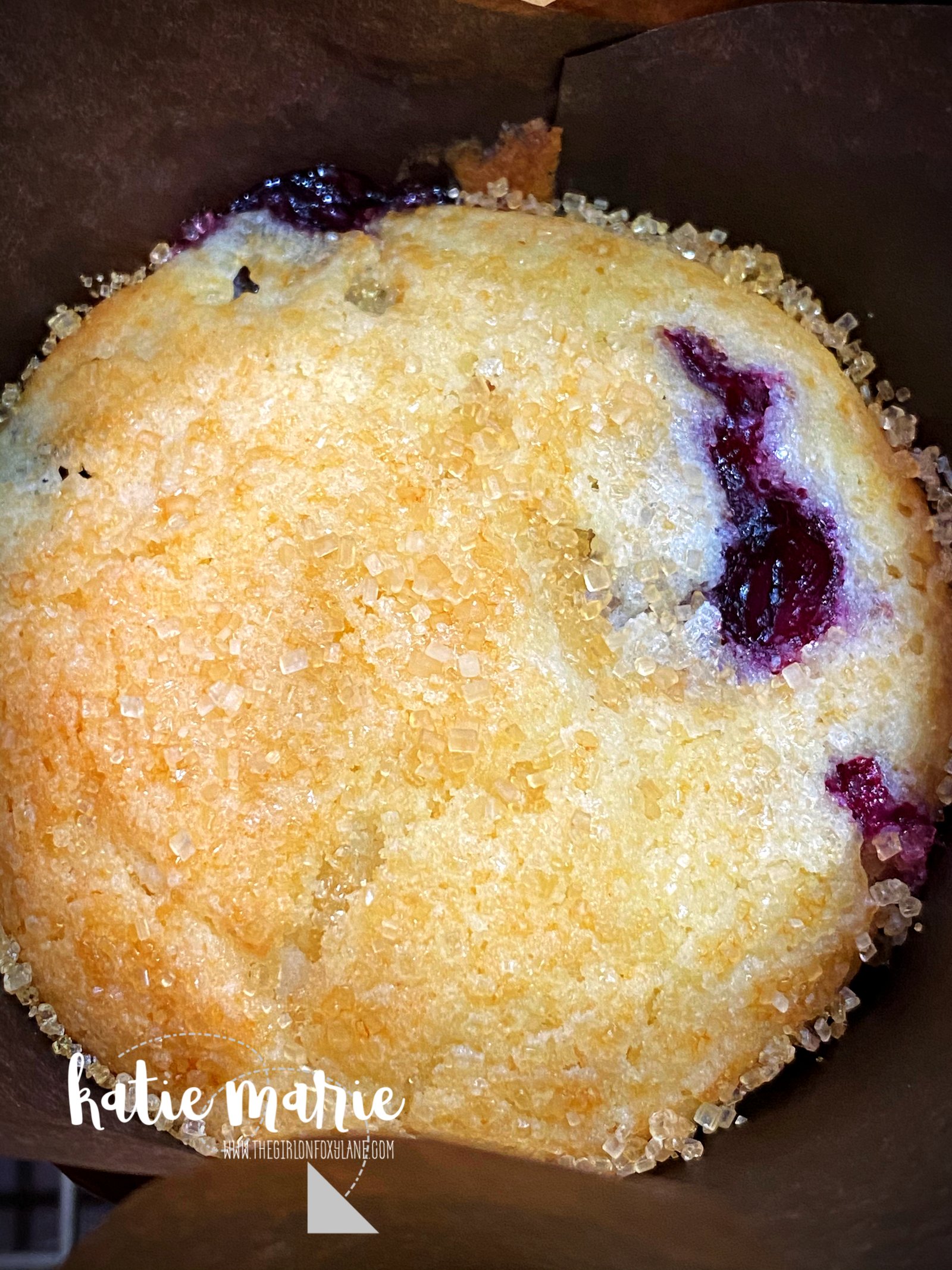 Single Blueberry Muffin – {the girl on foxy lane}