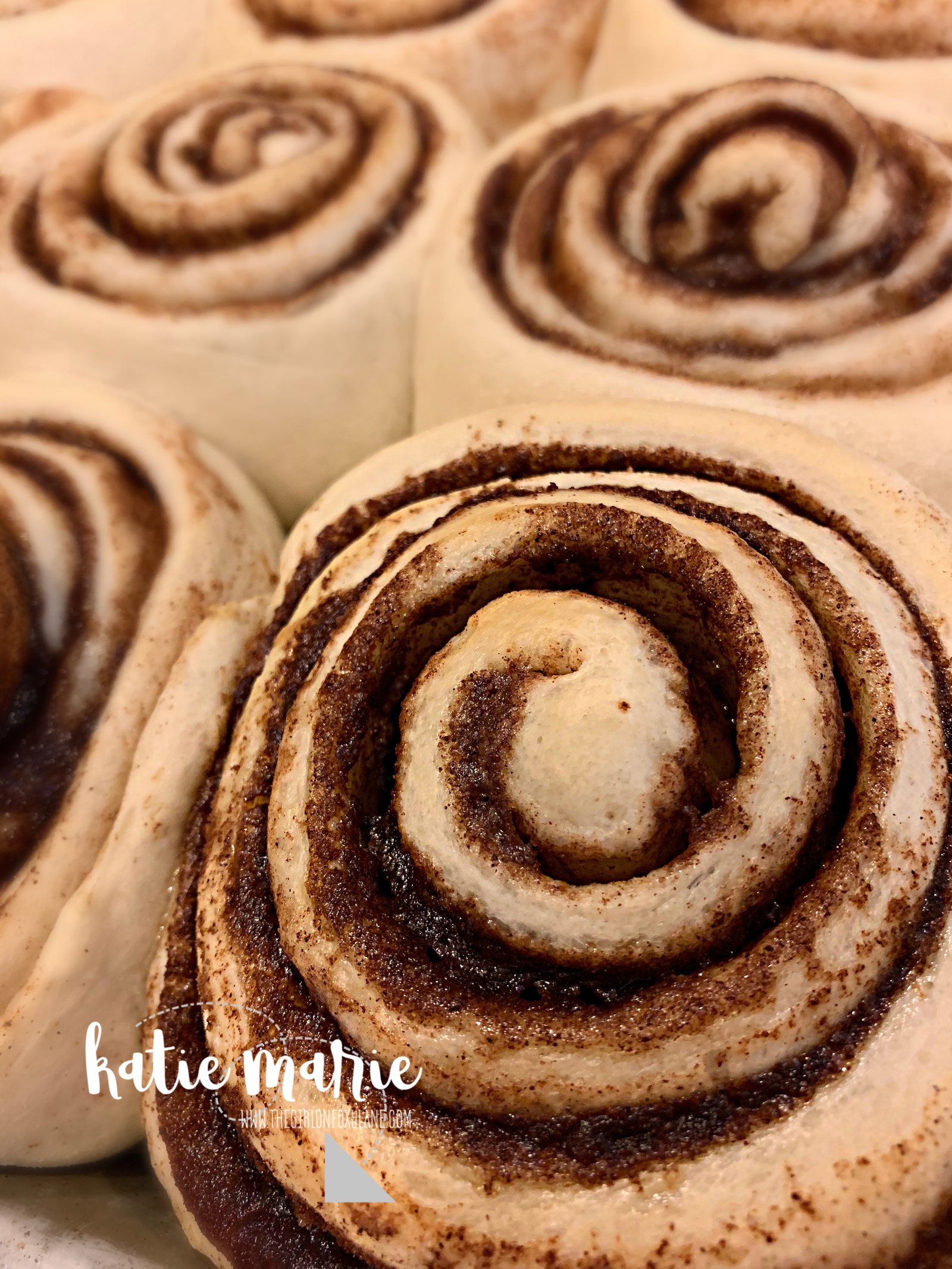 Cinnamon Roll – {the girl on foxy lane}